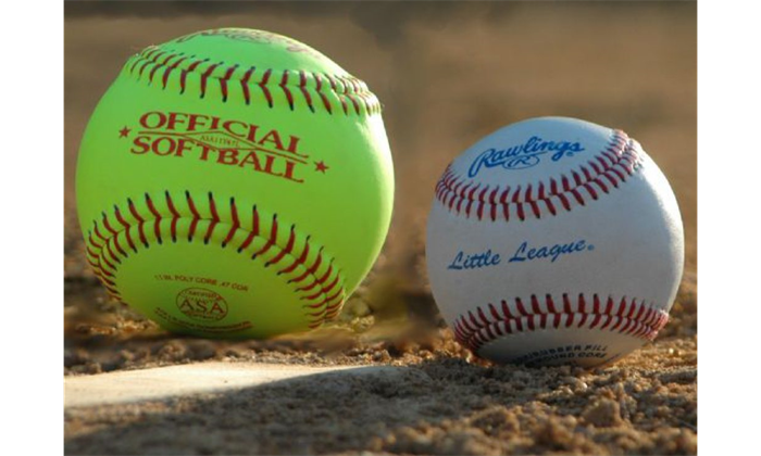 Plum Area Baseball and Softball > Home