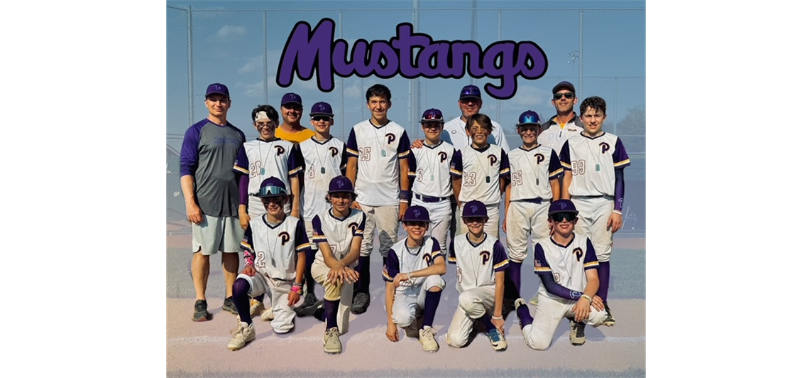 Plum Area Baseball and Softball > Home